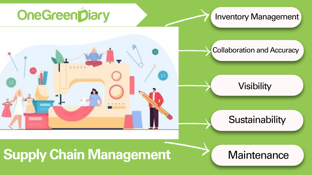 Rise ERP Implementation for Retail Apparel and Fashion.