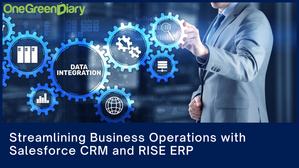 Blog - OneGreenDiary